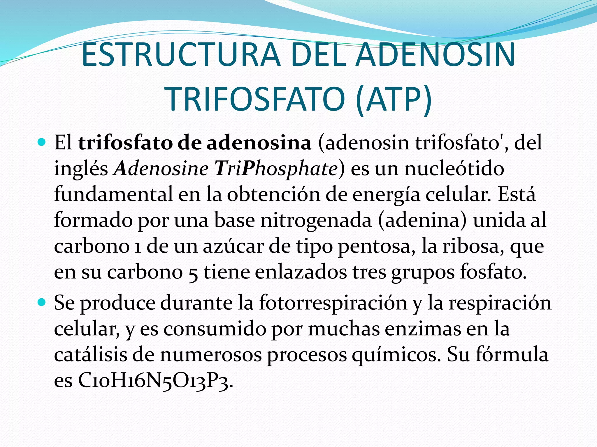 Atp estructura y función | PPTX | Chemistry | Science
