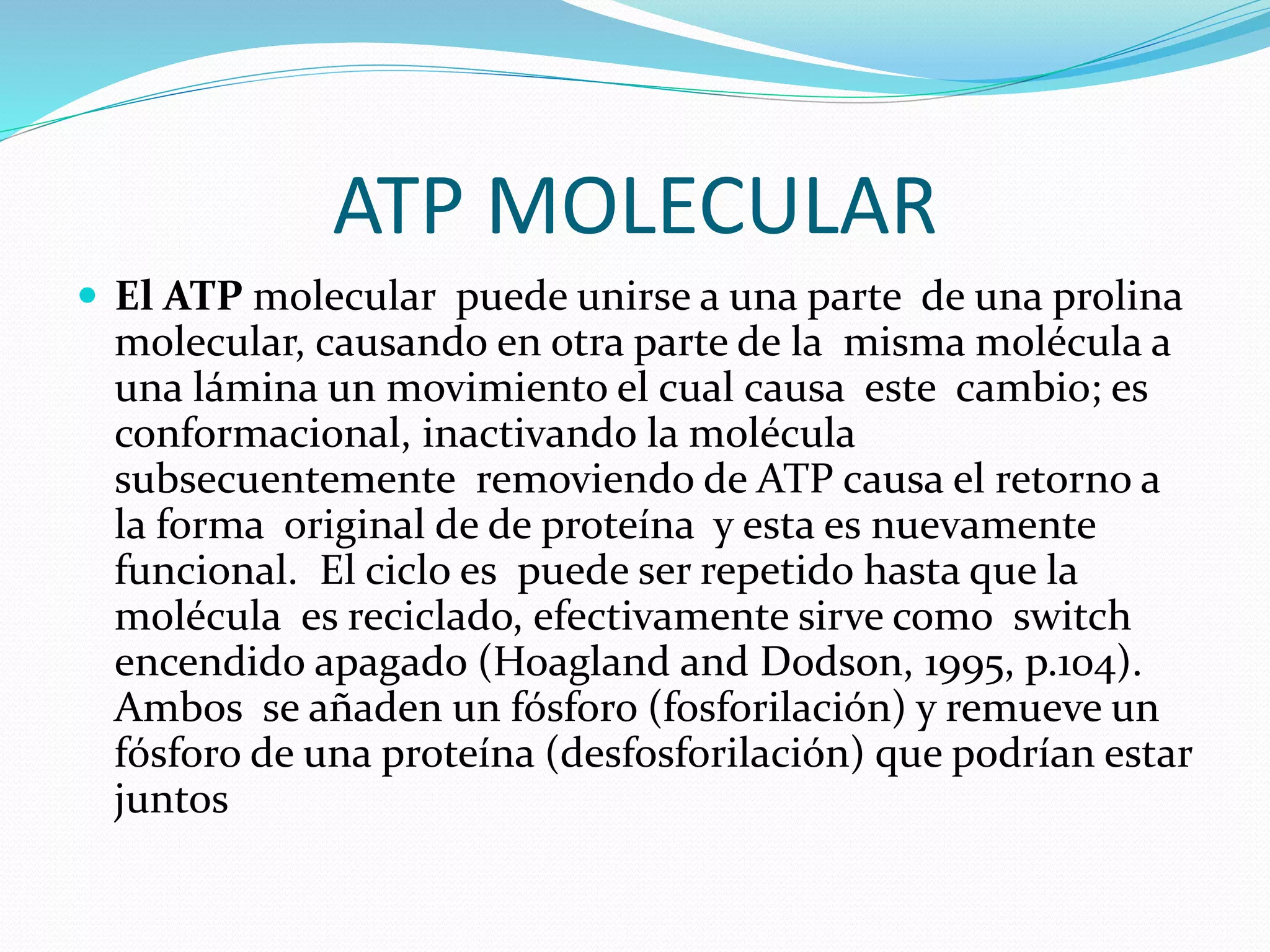 Atp estructura y función | PPTX | Chemistry | Science