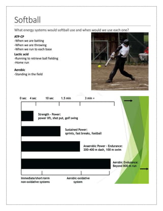 Atp pc energy system | DOCX