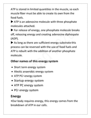 Atp pc energy system | DOCX