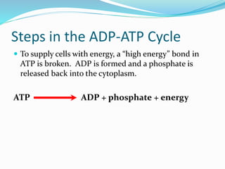 ATP_ppt.pptx