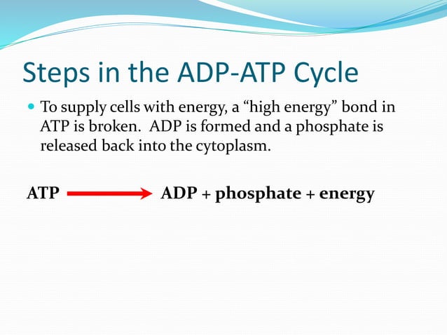 ATP_ppt.pptx