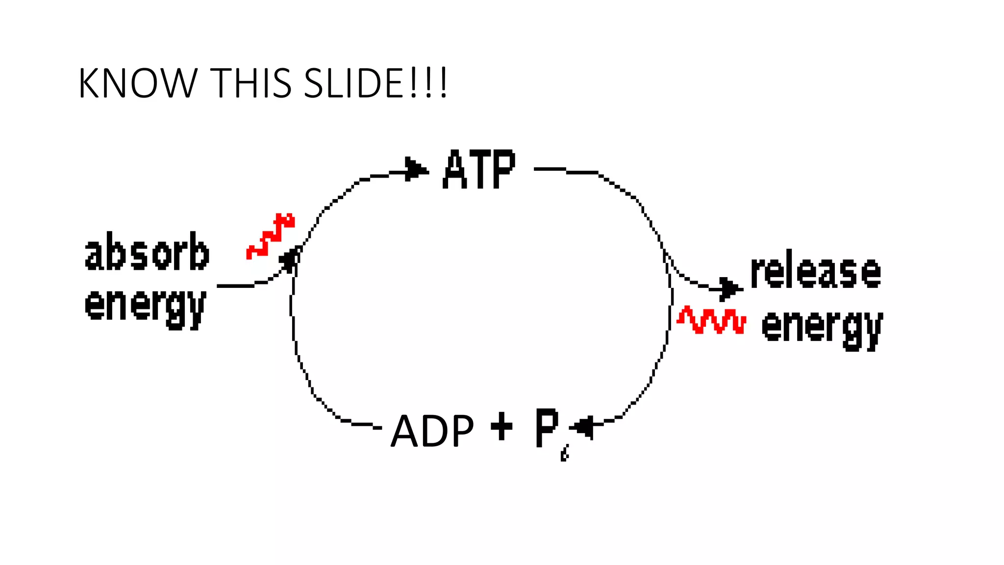 ATP Presentation | PPTX