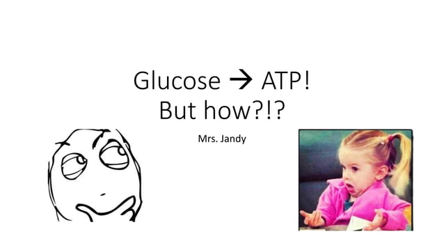 ATP Presentation | PPTX