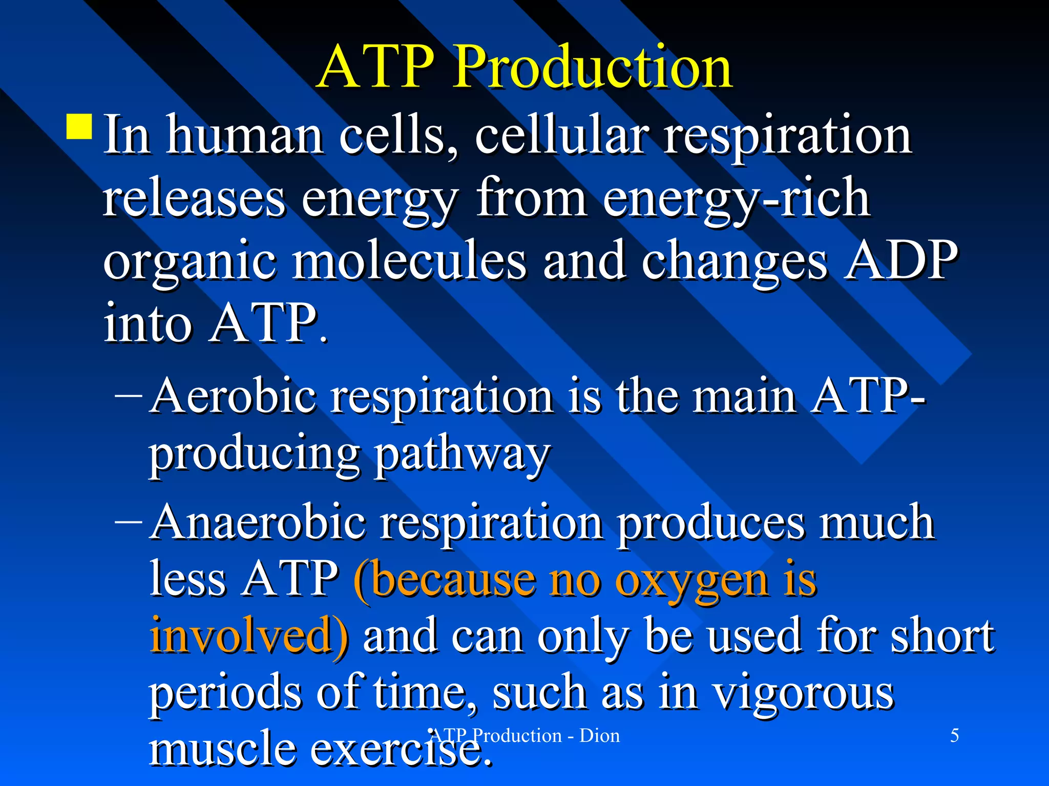 Atp production | PPT