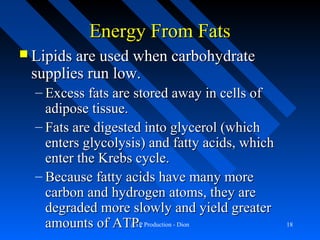 Atp production | PPT