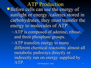 Atp production | PPT