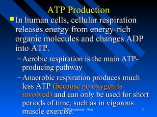Atp production | PPT