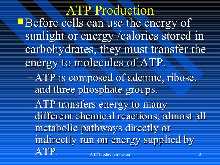 Which term describes atp production - industriesmine