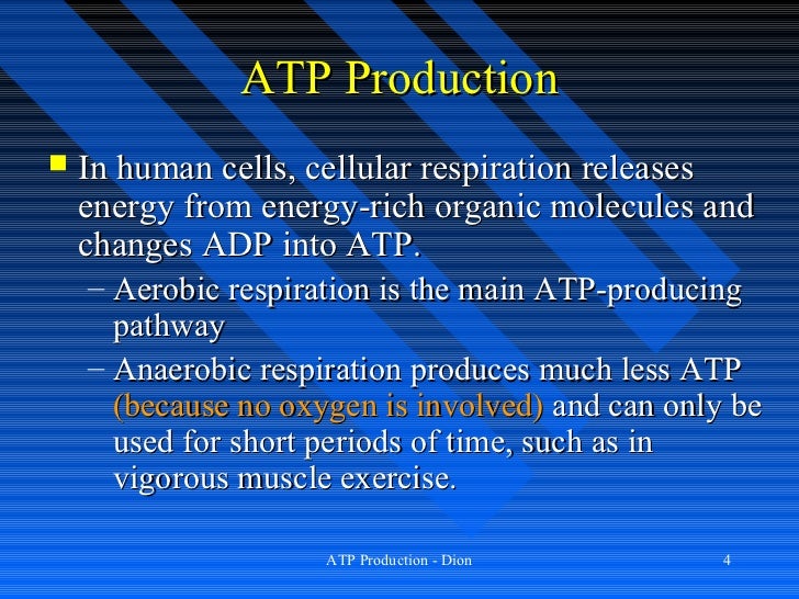 Atp production