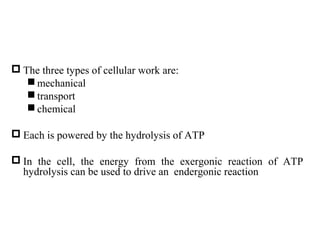 Atp production | PPT