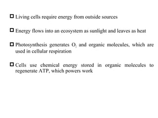 Atp production | PPT