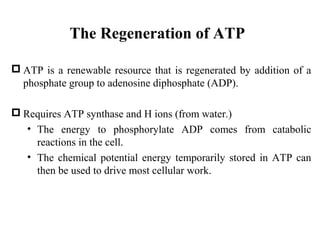 Atp production | PPT