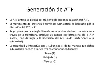 ATP sintasa | PPT