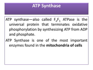 Atp synthase | PPT