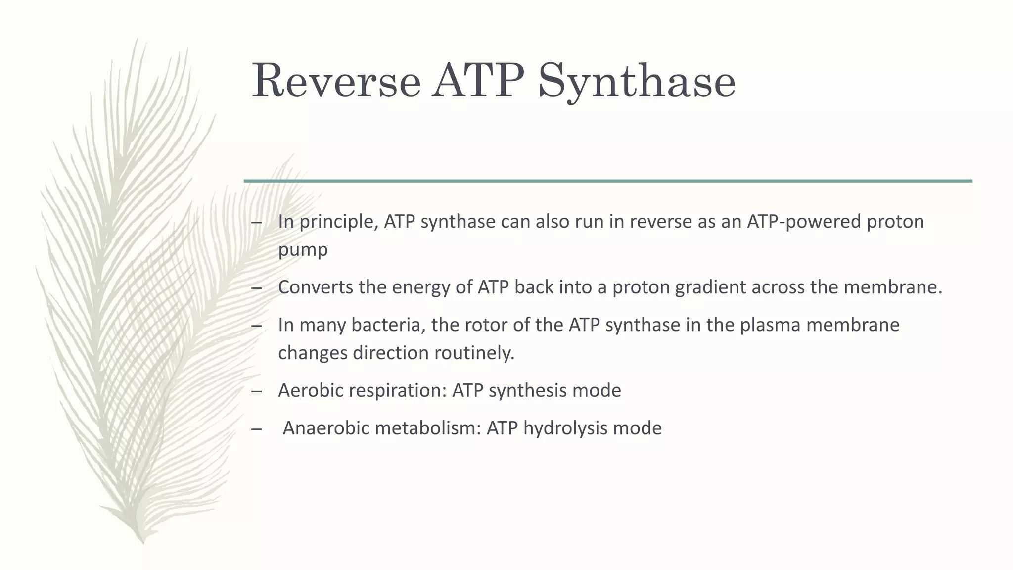 ATP synthase structure and Function | PPTX