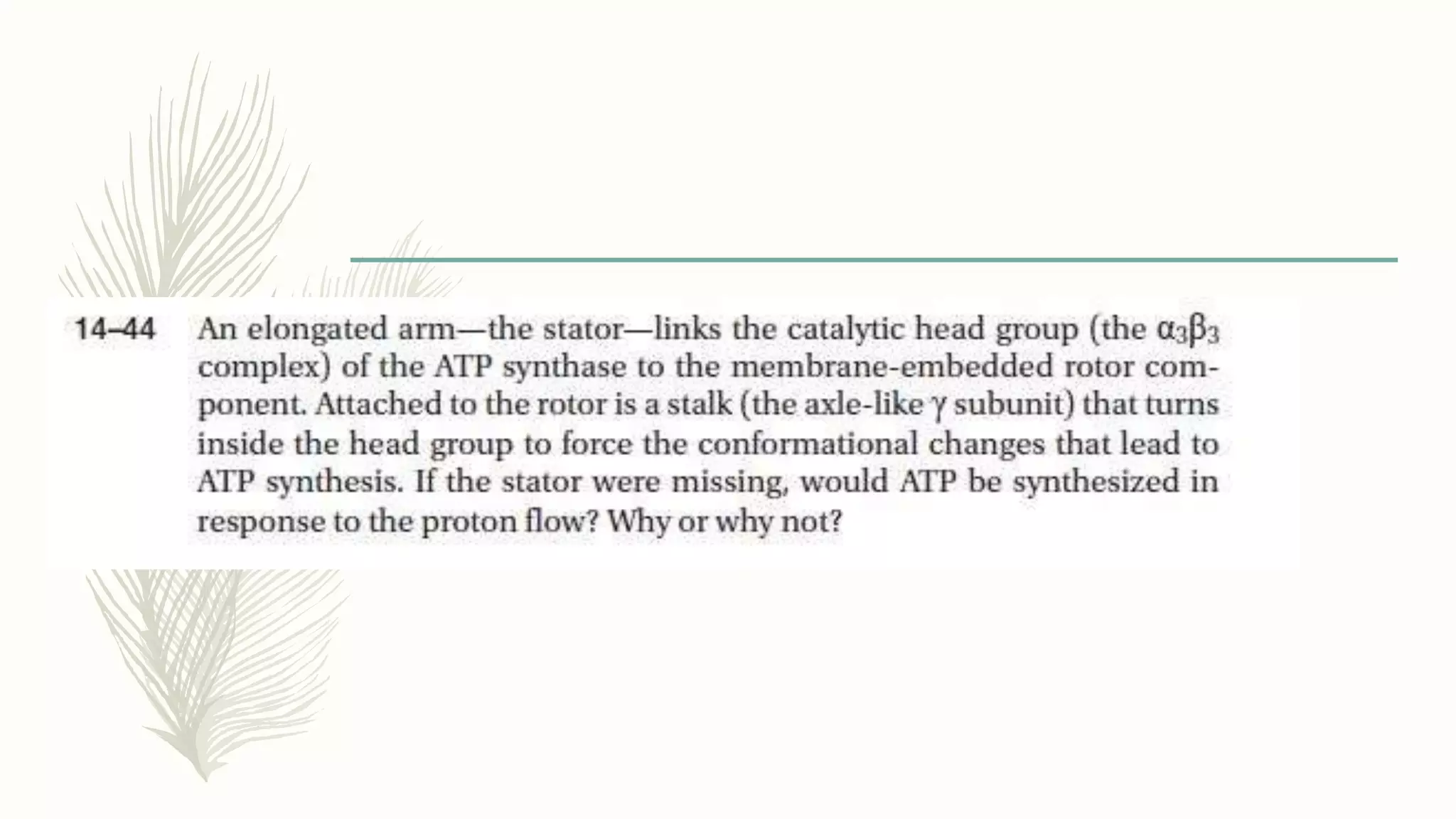 Atp Synthase Structure And Function Pptx