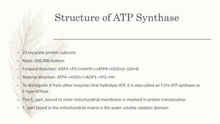 ATP synthase structure and Function | PPTX