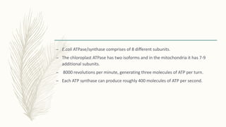 ATP synthase structure and Function | PPTX