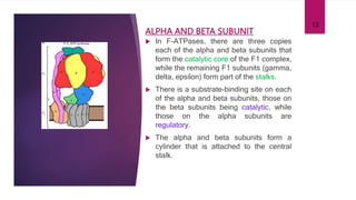 Atp synthase , Atp synthase complex 1 to 4. | PPTX