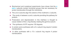 Atp synthase , Atp synthase complex 1 to 4. | PPTX