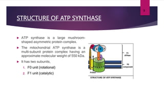 Atp synthase , Atp synthase complex 1 to 4. | PPTX