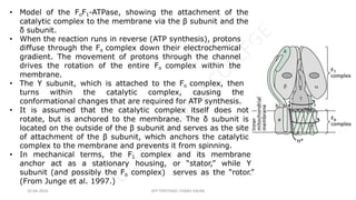 ATP SYNTHASE STRUCTURE ATP SYNTHESIS.pptx