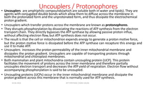 ATP SYNTHASE STRUCTURE ATP SYNTHESIS.pptx