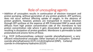 ATP SYNTHASE STRUCTURE ATP SYNTHESIS.pptx