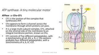 ATP SYNTHASE STRUCTURE ATP SYNTHESIS.pptx