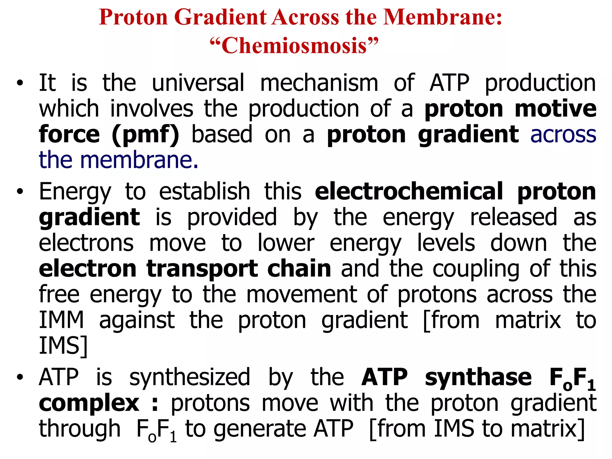 Atp synthesis | PDF