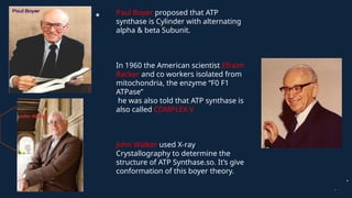 ATP Synthetase......................pptx