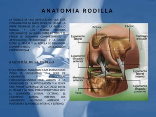 ATR) ATROPLASTIA TOTAL DE RODILLA (2).pptx