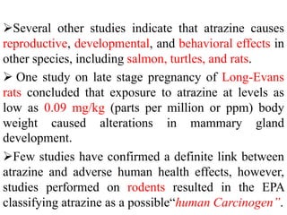 Atrazine presentation.pptx