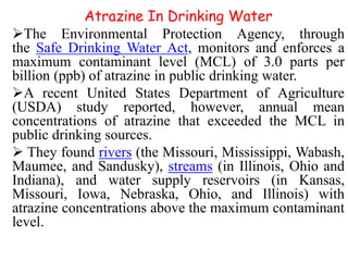 Atrazine presentation.pptx