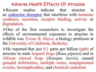 Atrazine presentation.pptx