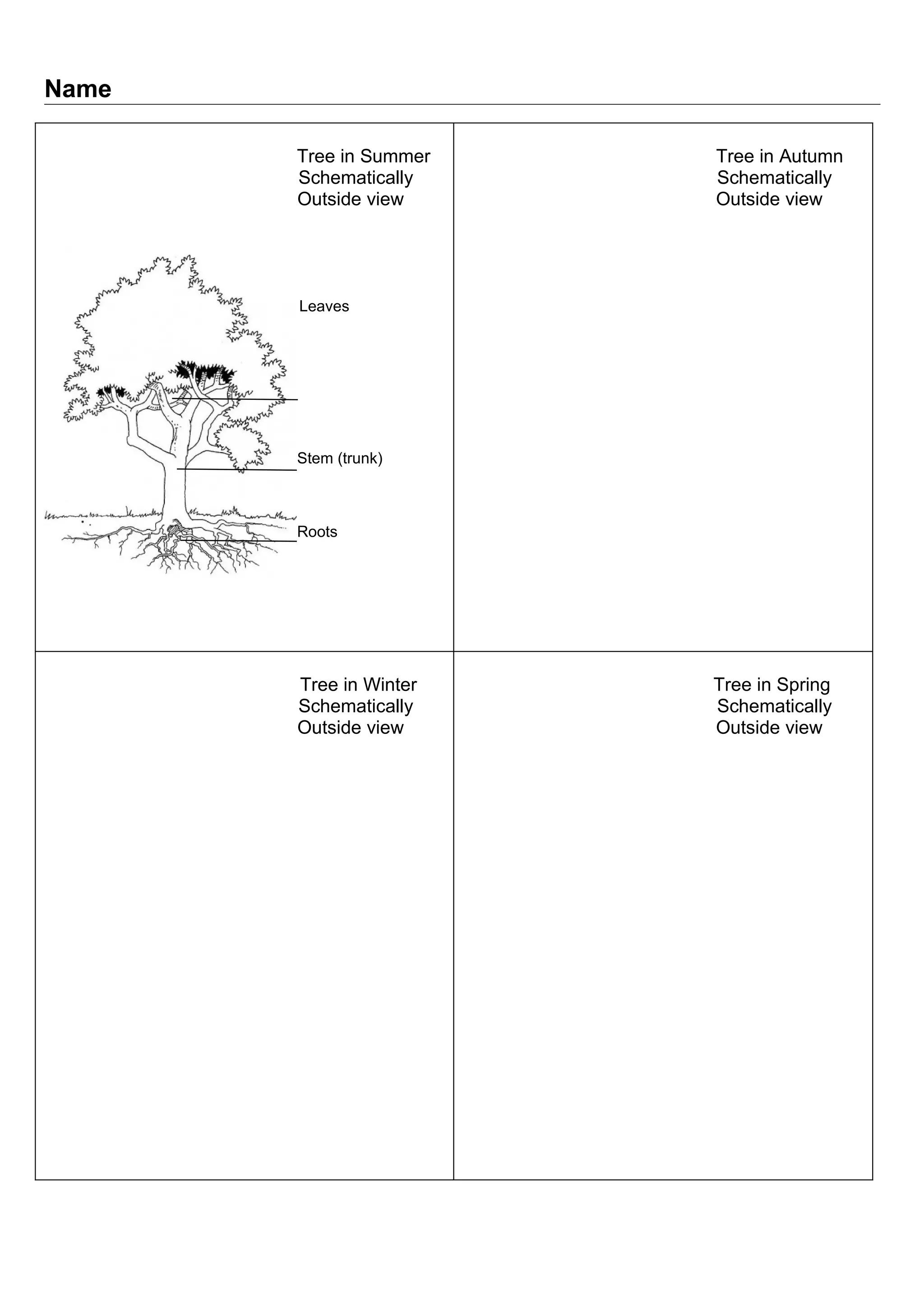 A tree in 4 seasons | PDF
