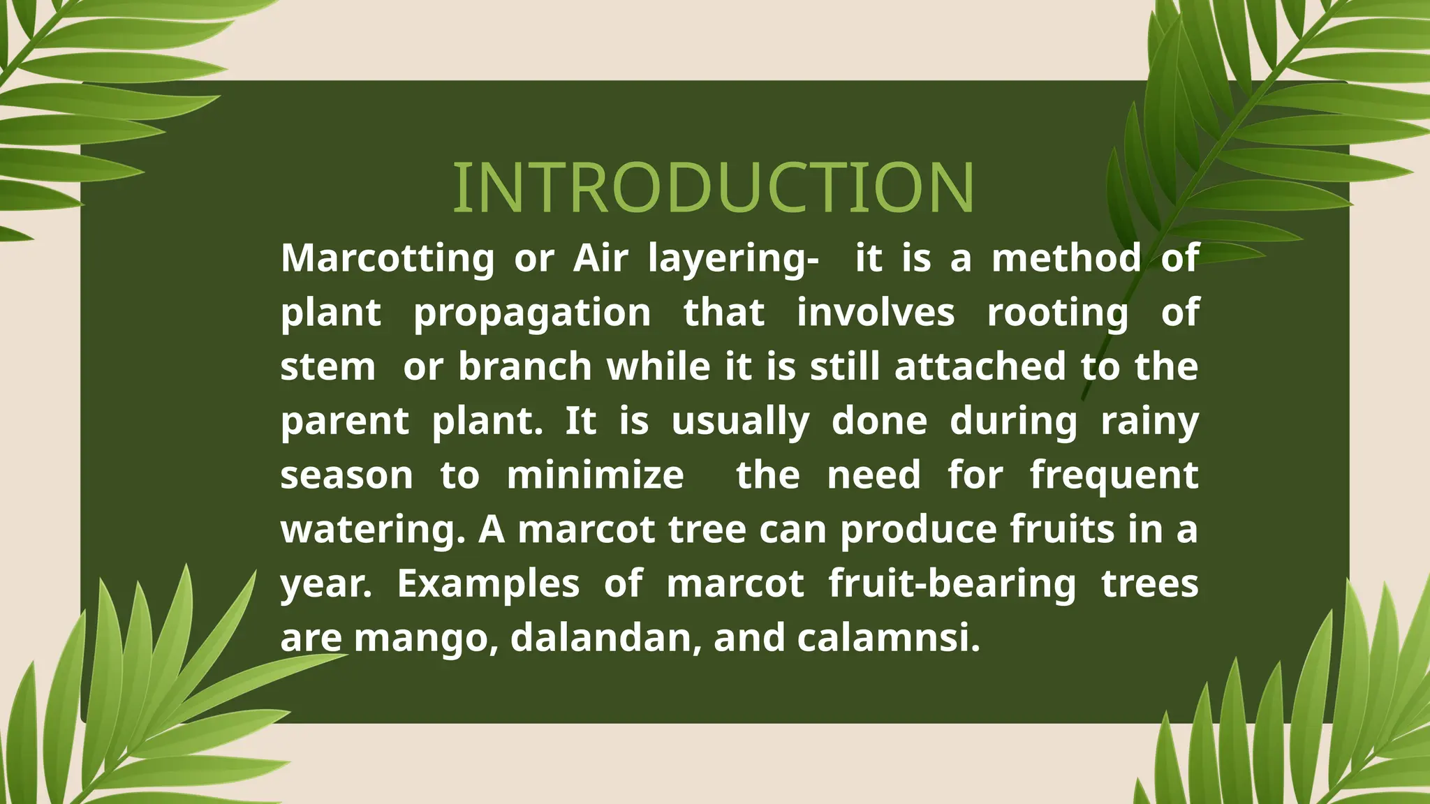 tree is known by its fruit; a man by his deeds. | PPTX