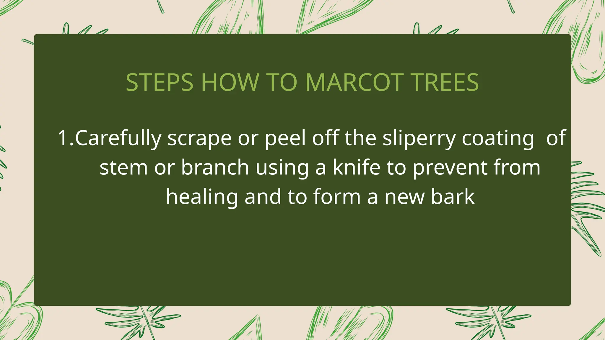 tree is known by its fruit; a man by his deeds. | PPT