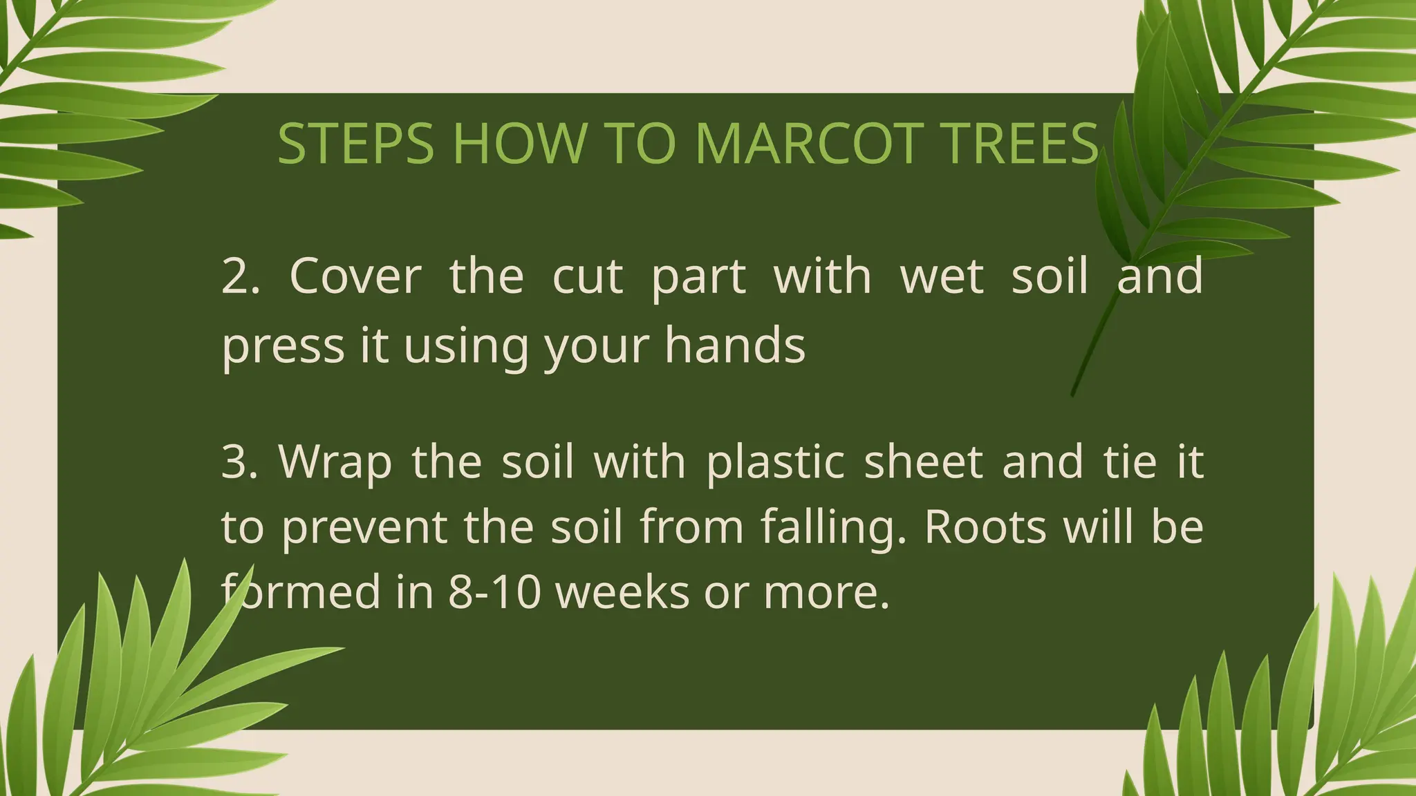 tree is known by its fruit; a man by his deeds. | PPT