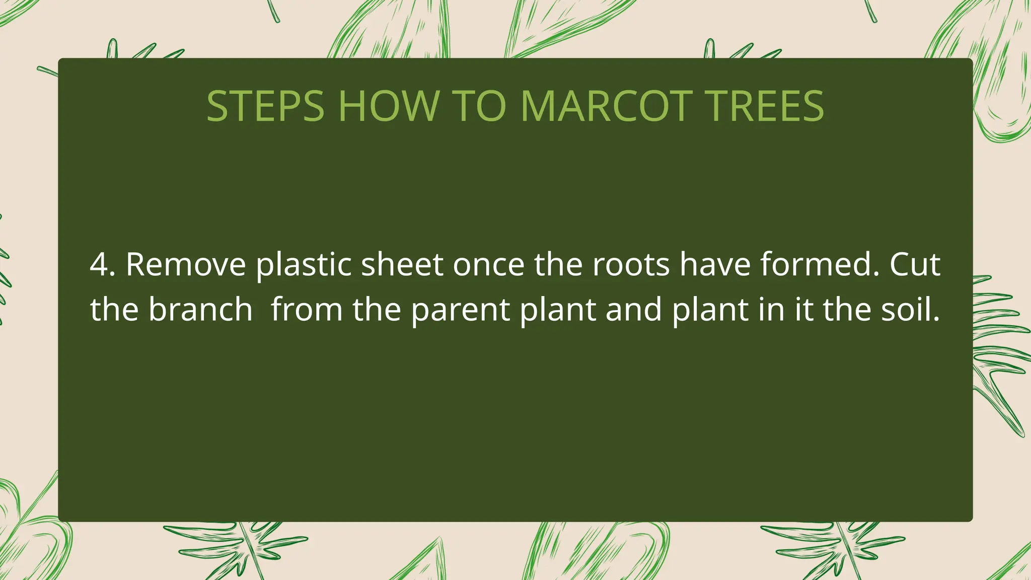 tree is known by its fruit; a man by his deeds. | PPT