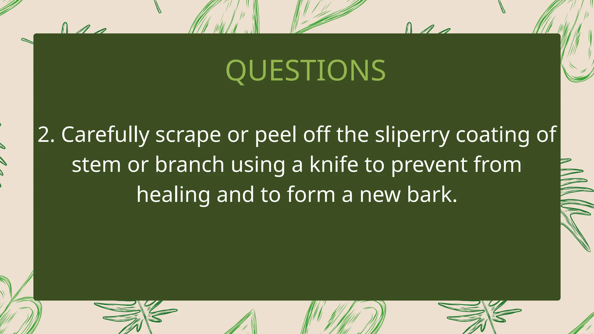 tree is known by its fruit; a man by his deeds. | PPTX