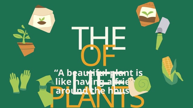 tree is known by its fruit; a man by his deeds. | PPT