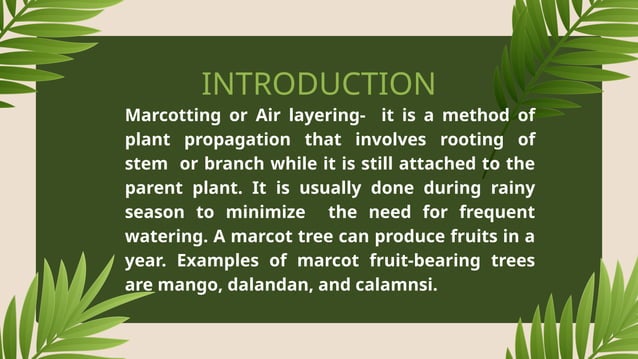 tree is known by its fruit; a man by his deeds. | PPT