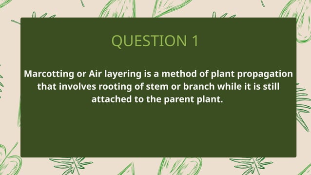 tree is known by its fruit; a man by his deeds. | PPT