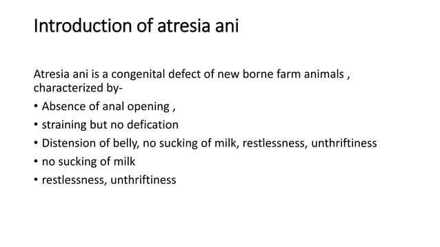 Atresia ani complication in calf | PPTX | Surgery | Medical Health