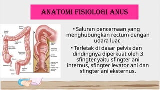 atresia ani pada anakgdjdnrjfnfjgngngn.pptx