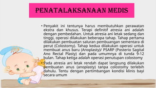 atresia ani pada anakgdjdnrjfnfjgngngn.pptx