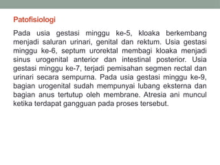 ATRESIAANIATRESIAANIATRESIAANIATRESIAANI | PPTX