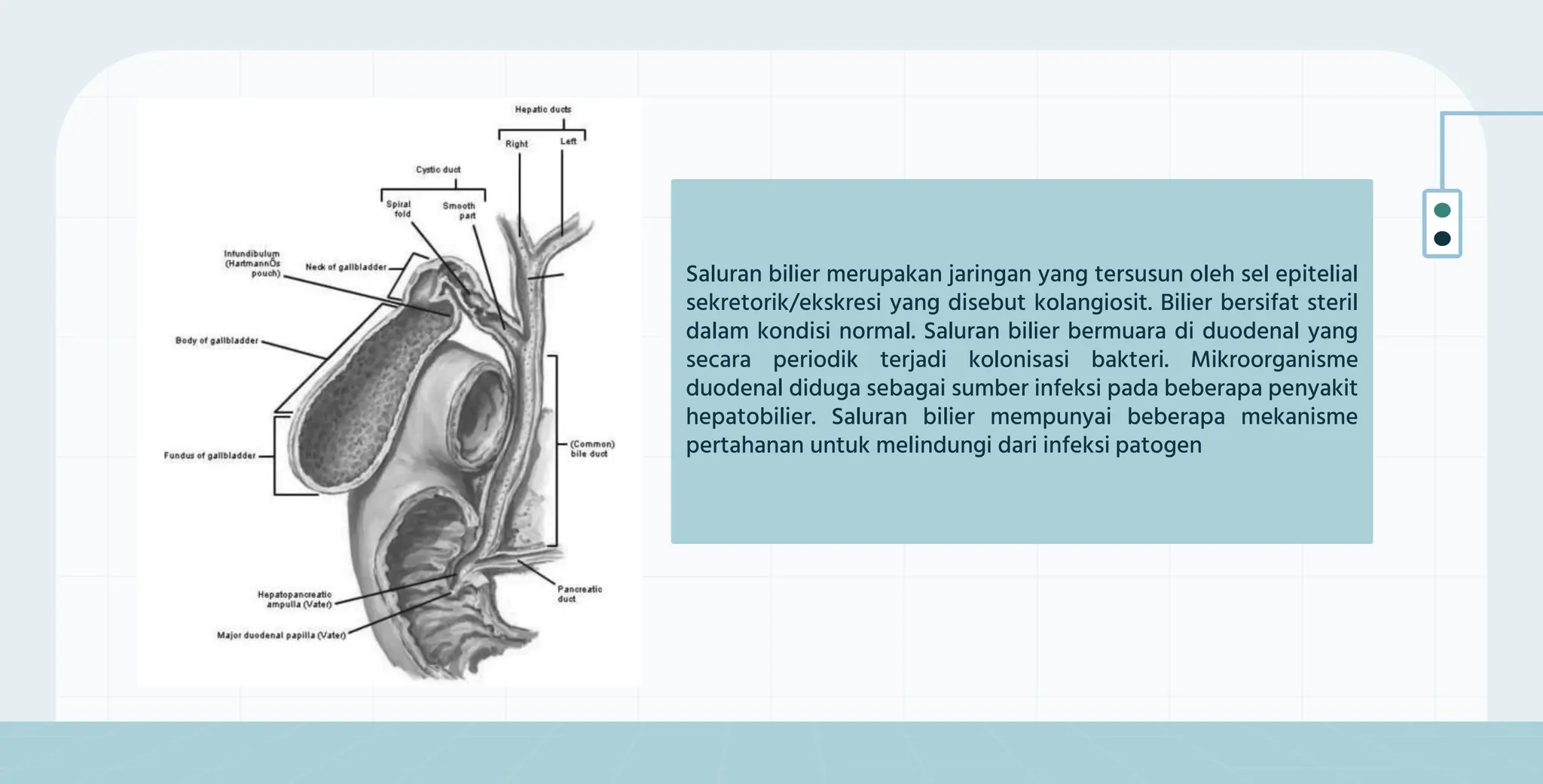 ATRESIA BILIER PADA PEMERIKSAAN RADIOLOGI.pptx